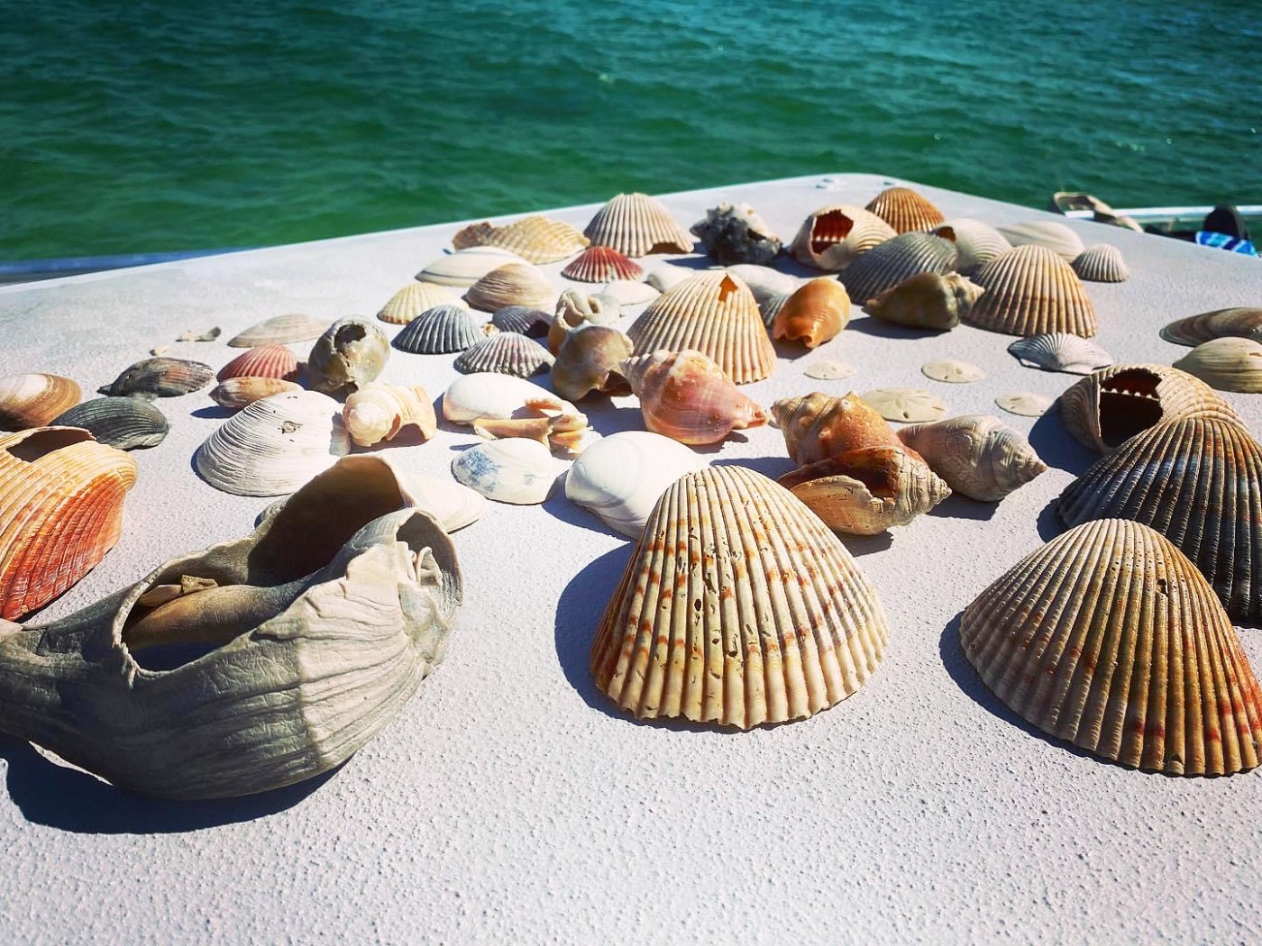 Gallery | Lagoon Pontoons